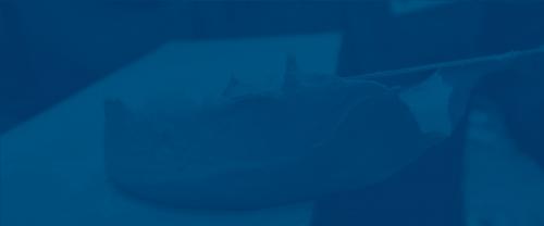 Emcefix Spachtel F extra fein - MC-Bauchemie